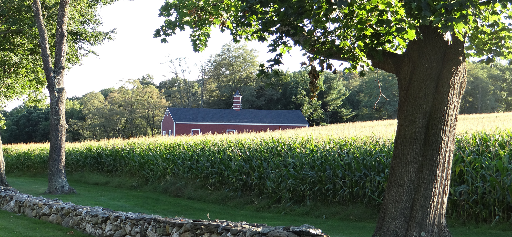 Latest News | Bank of Millbrook