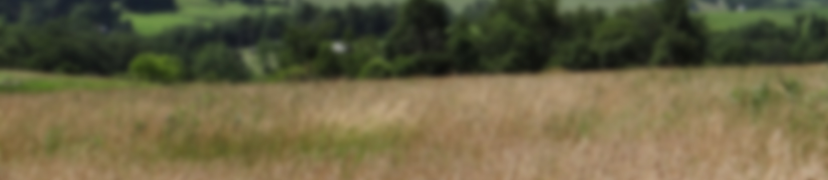 Business Banking | Bank of Millbrook