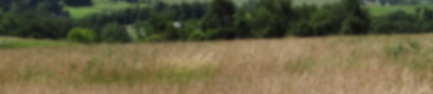 Introduction | Bank of Millbrook