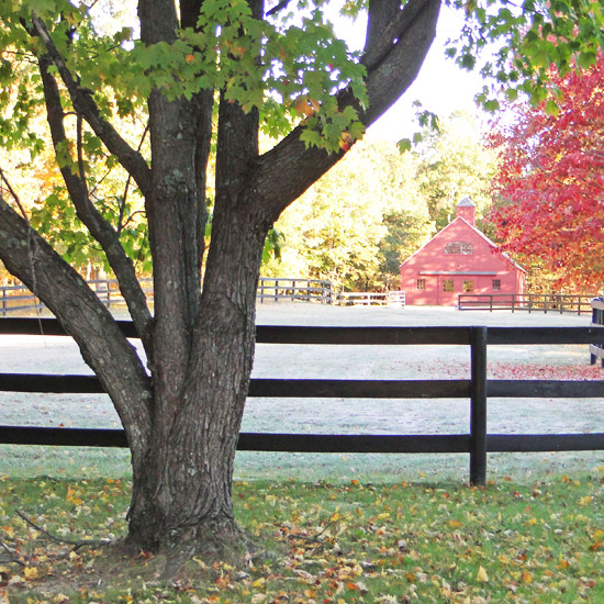 Our Bank | Bank of Millbrook
