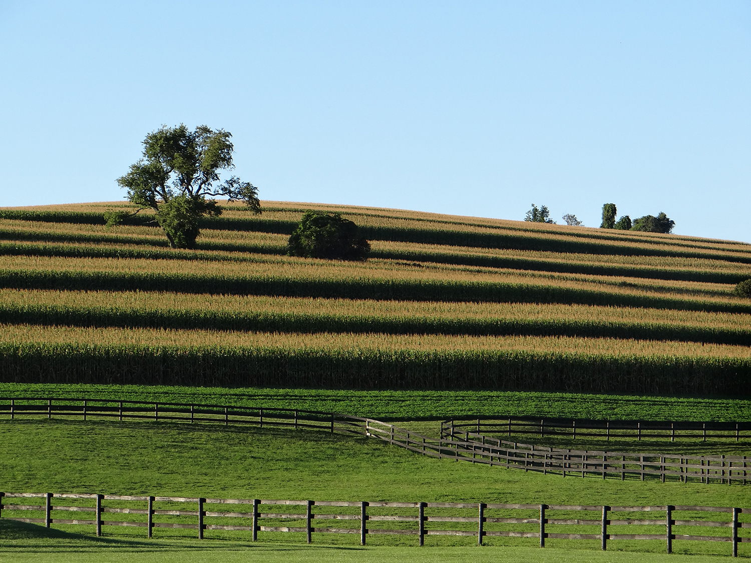 About Our Bank | Bank of Millbrook